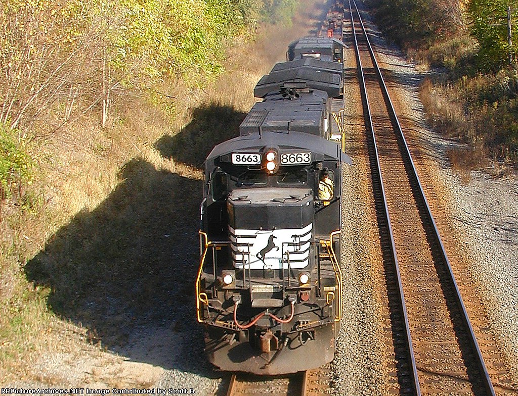 NS 8663